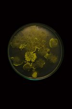 Interactive map - Centre Pompidou