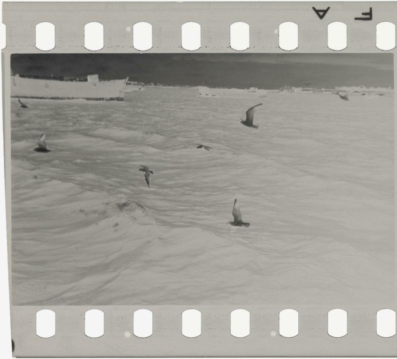 (Sans titre) - Centre Pompidou