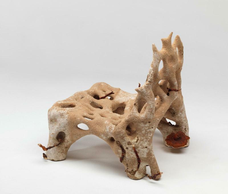 Mycelium chair - Centre Pompidou