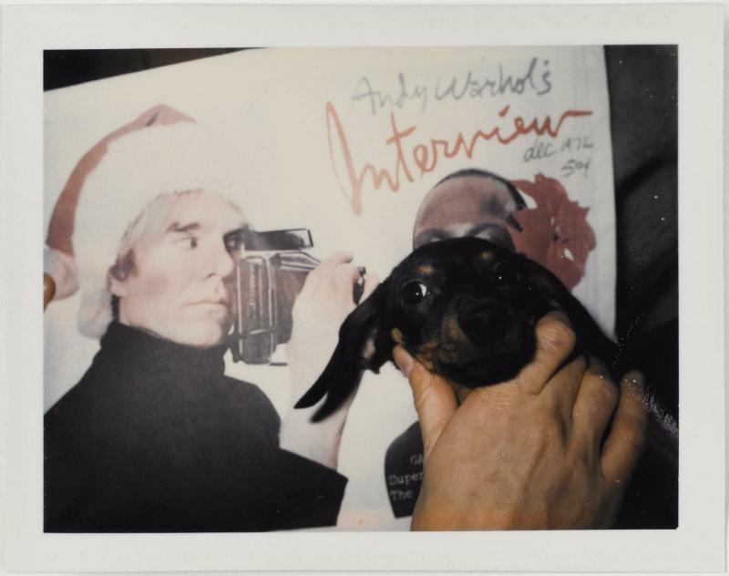 Archie - Centre Pompidou