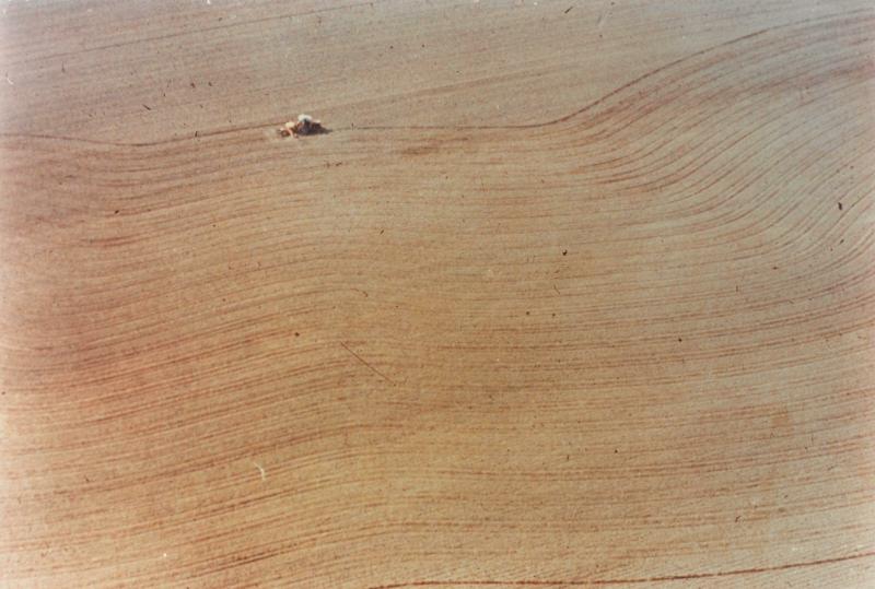 Directed Seeding Cancelled Crop - Centre Pompidou